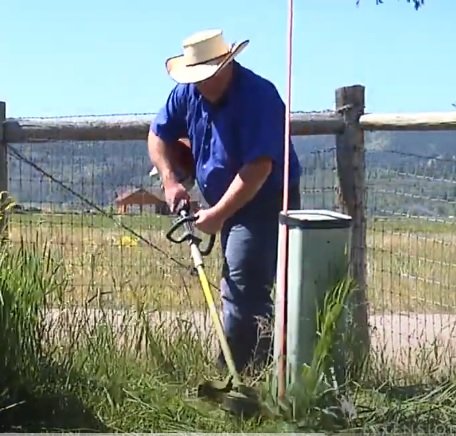 The Best Lightweight Weed Eater for Seniors